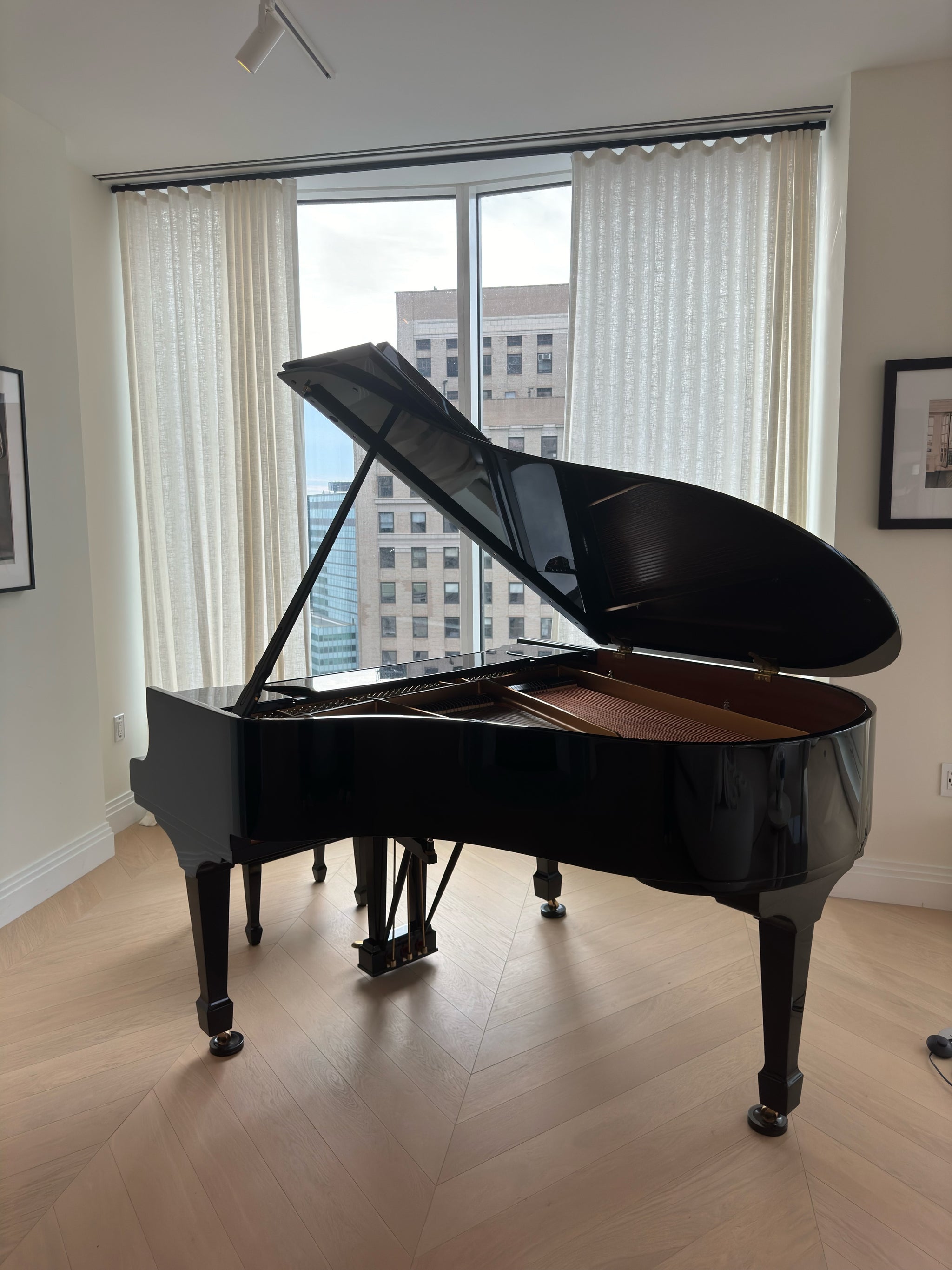 Steinway Model M Spirio | High Gloss Ebony – Park Avenue Pianos | Steinway Piano Reseller