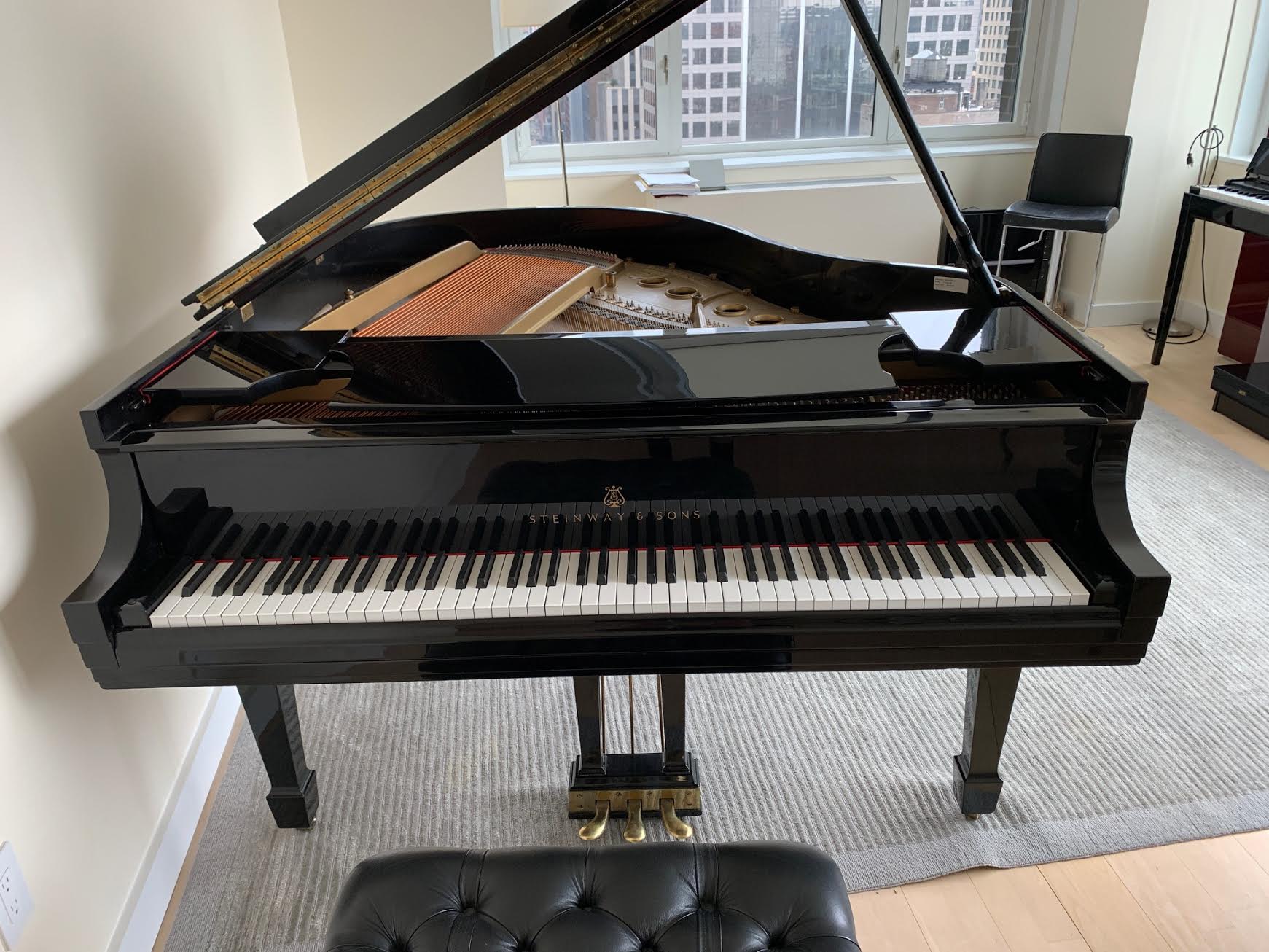 Steinway Model S Grand Piano | High Gloss Ebony – Park Avenue Pianos | Steinway Piano Reseller