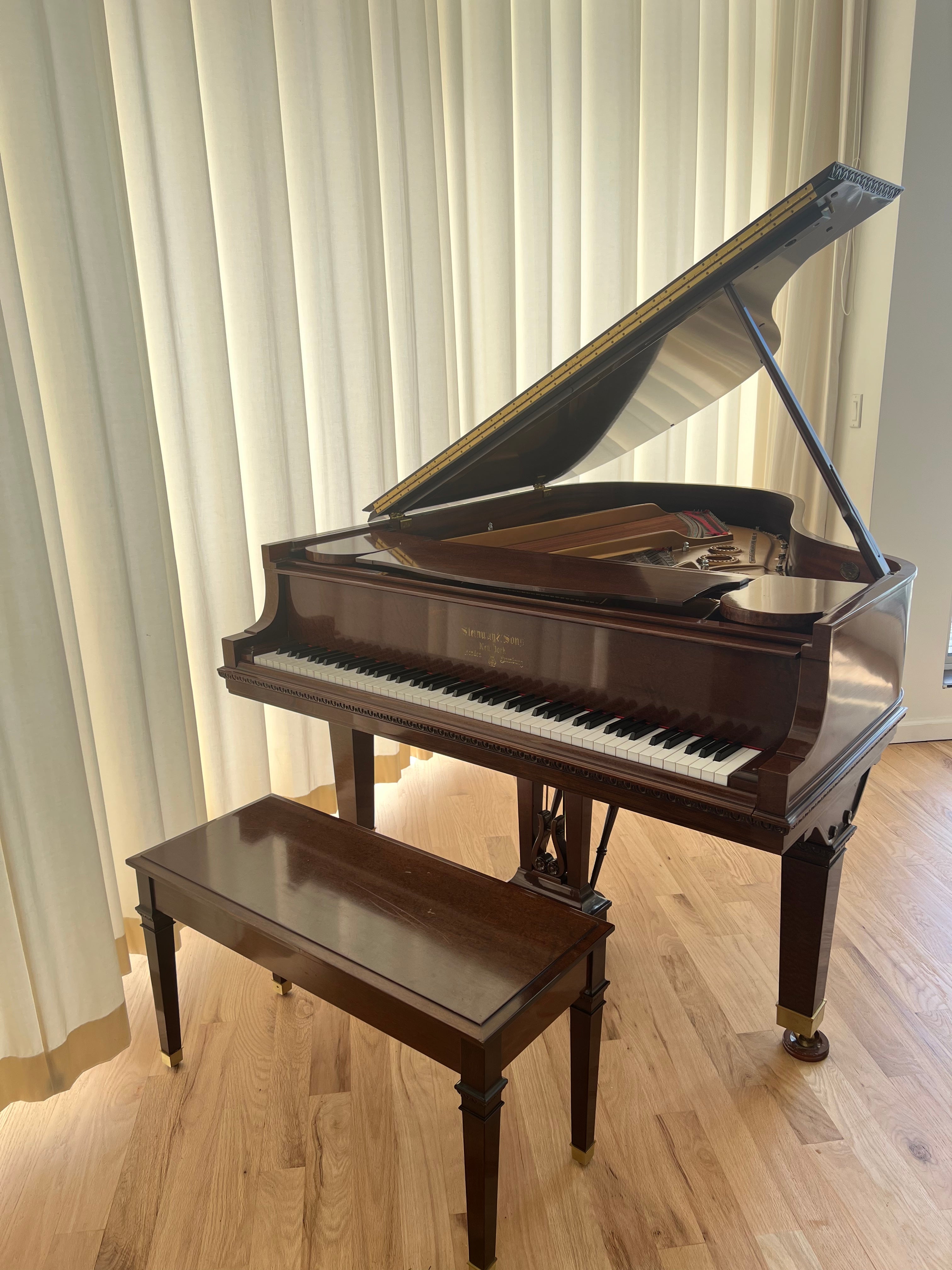 2000 Tiffany Steinway Limited Edition Grand Piano Model L | African Po ...