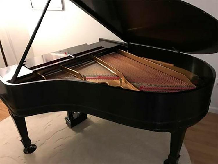 Steinway Grand Piano Side View